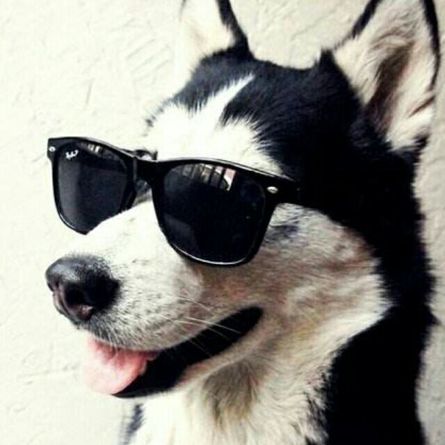 LSTM(by pytorch) | 英招